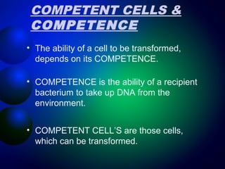 DNA recombination in prokaryotes | PPT