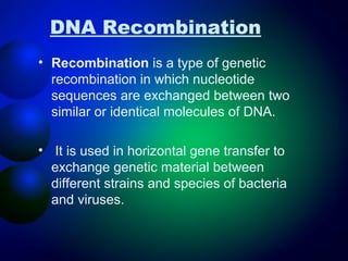 Genetic Recombination In Prokaryotes