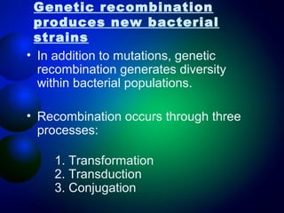 Genetic Recombination In Prokaryotes