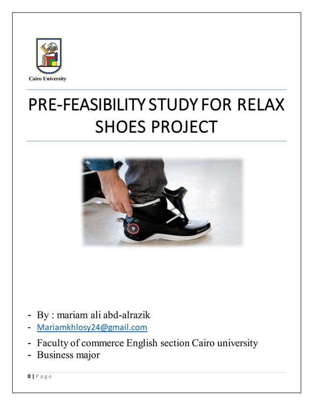 Pre-feasibility study | PDF