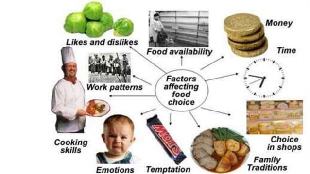 preference mapping and its techniques.pptx