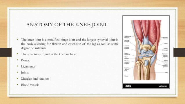 PREFERENCE OF WEIGHT BEARING OVER NON WEIGHT BEARING RADIOGRAPHIC ...