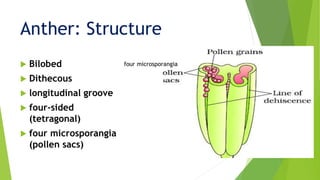 Pre fertilization structures in plants.. (Flower structure and male and ...