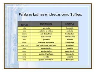 prefijos griegos y latinos.ppt