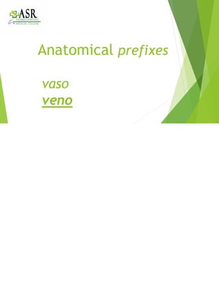 Anatomical prefixes : vaso and veno by K.Mourthika | PDF