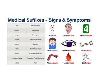 Anatomical terms preffix and suffix and meanings | PPTX