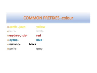 Anatomical terms preffix and suffix and meanings | PPTX