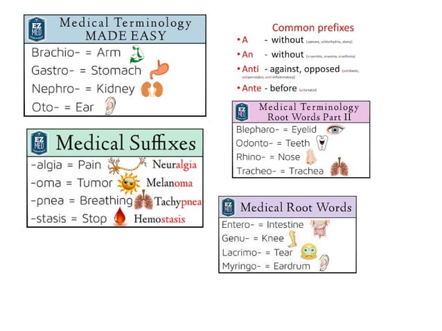 Anatomical terms preffix and suffix and meanings | PPTX