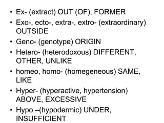Presentation on affixes Prefix and Suffix.ppt