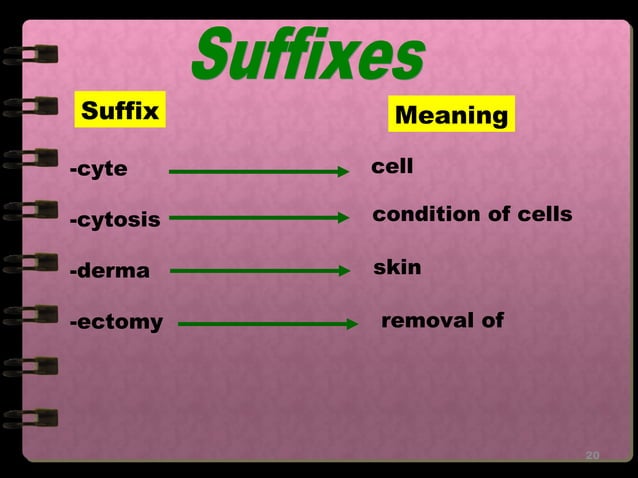 medical terms- Prefix and suffixes | PPT