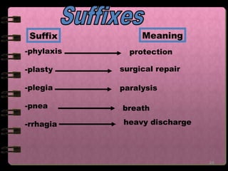 medical terms- Prefix and suffixes | PPT