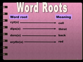 medical terms- Prefix and suffixes | PPT