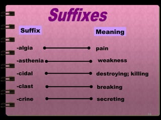 medical terms- Prefix and suffixes | PPT