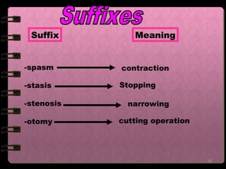 medical terms- Prefix and suffixes | PPT