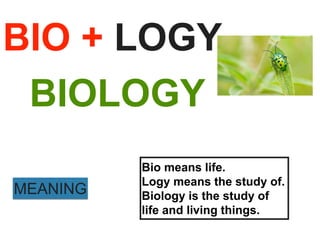 Prefix Bio-.ppt