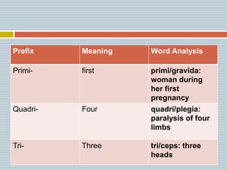PREFIXES.pptx