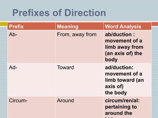 PREFIXES.pptx