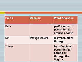 PREFIXES.pptx