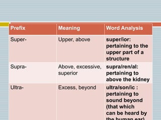 PREFIXES.pptx