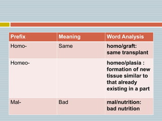 PREFIXES.pptx