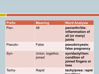 PREFIXES.pptx