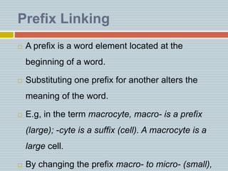 PREFIXES.pptx
