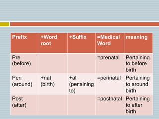PREFIXES.pptx