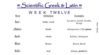 Prefixes-and-Suffixes-Scientific-Greek-and-Latin.pptx