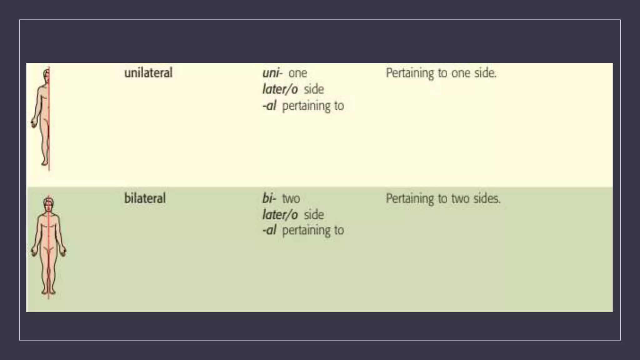Prefixes and directional terms.pptx