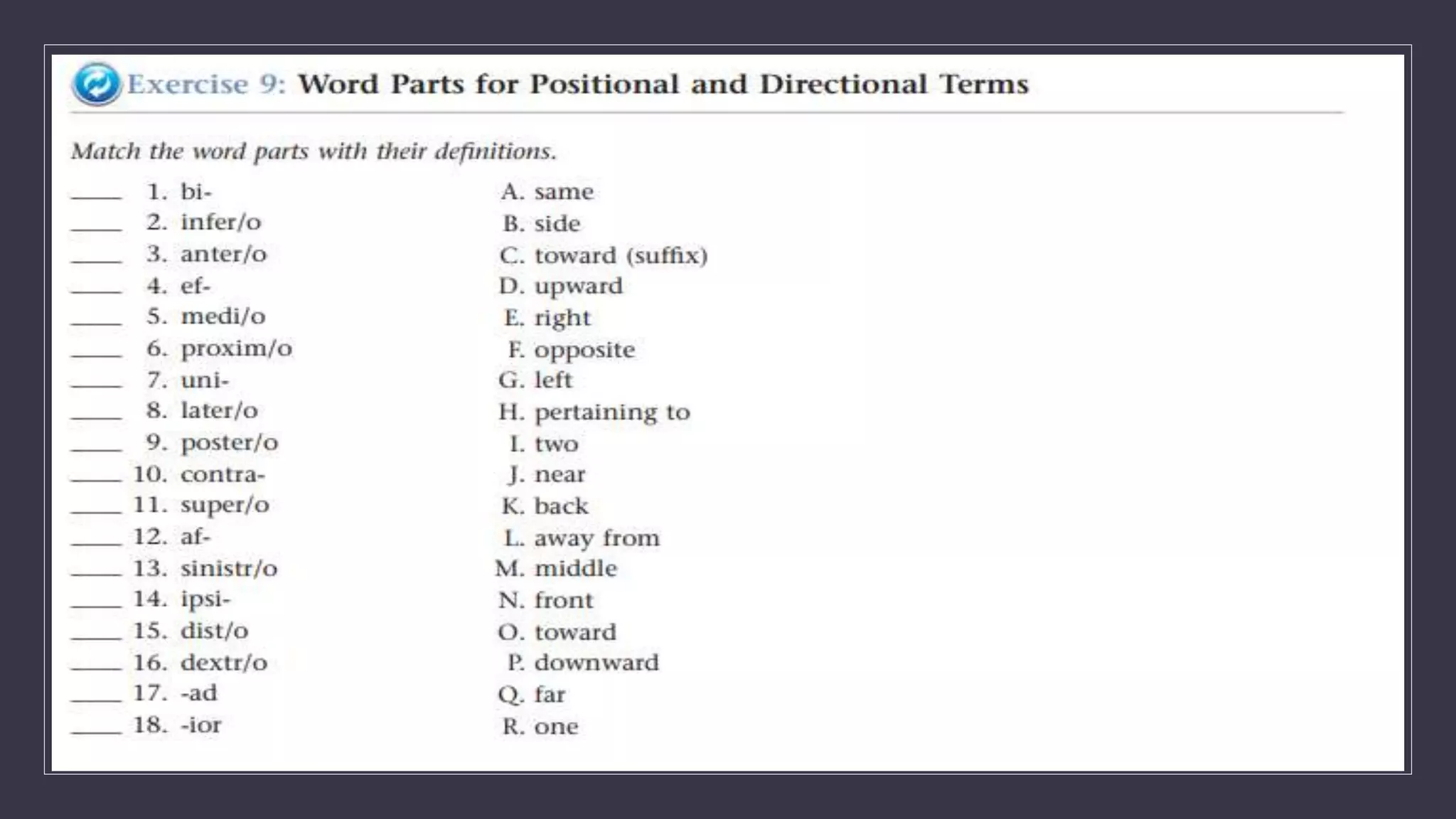 Prefixes and directional terms.pptx