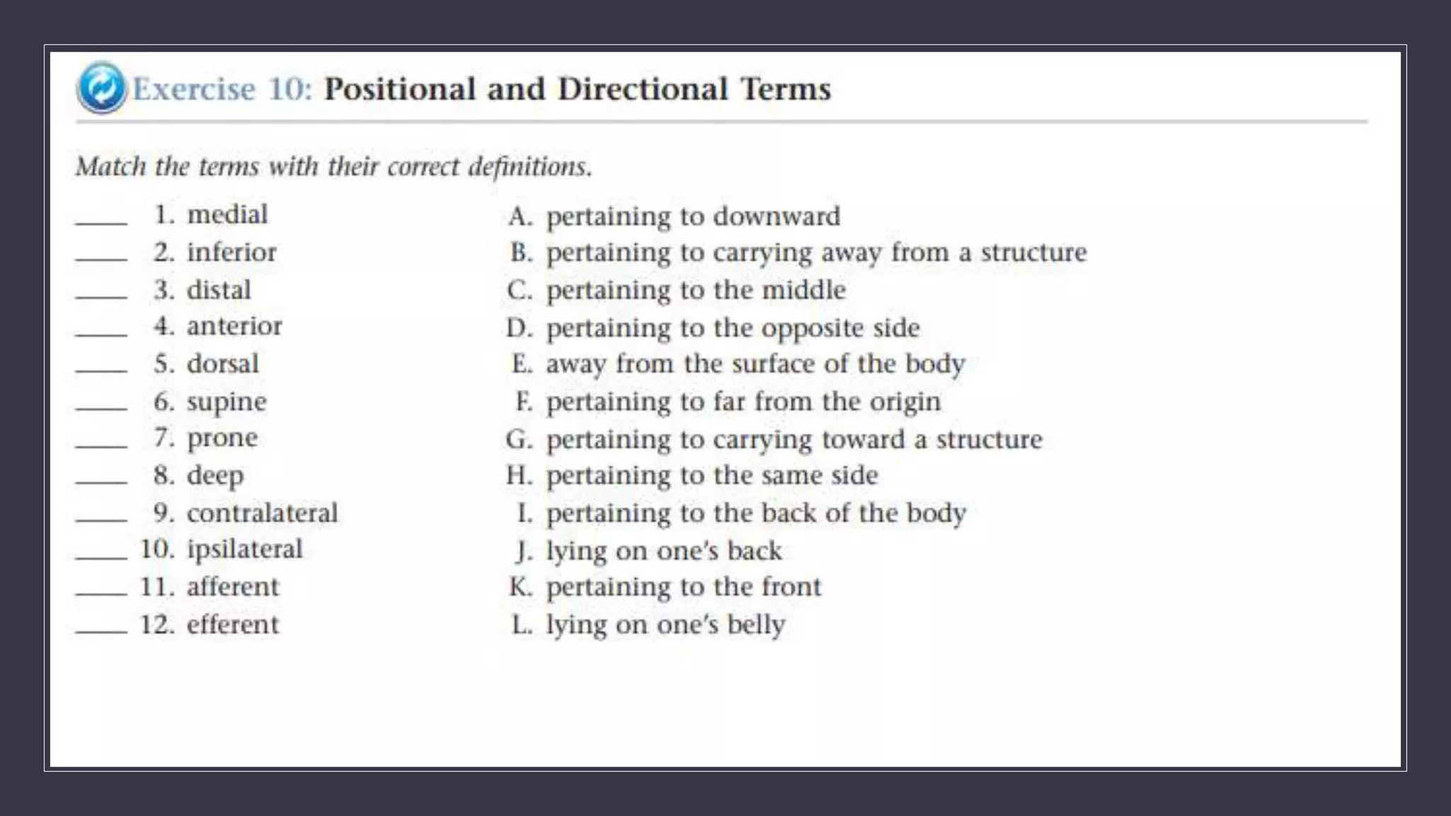 Prefixes and directional terms.pptx