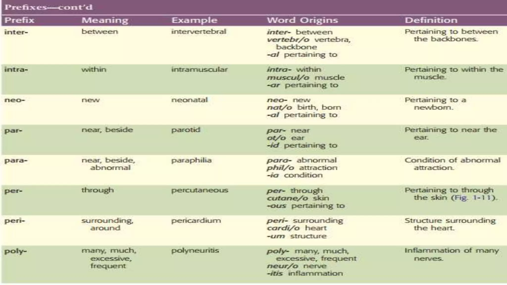 Prefixes and directional terms.pptx