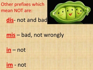 Prefixes gr. 2 reading | PPTX