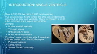 Pre Fontan Palliation Surgery in Single Ventricle Congenital Heart ...