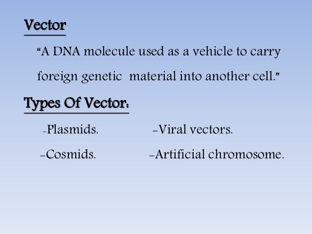 vector and its types