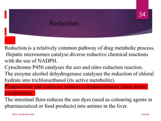 PREFORMULATION | PPTX