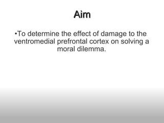 Prefrontal Cortex | PPT