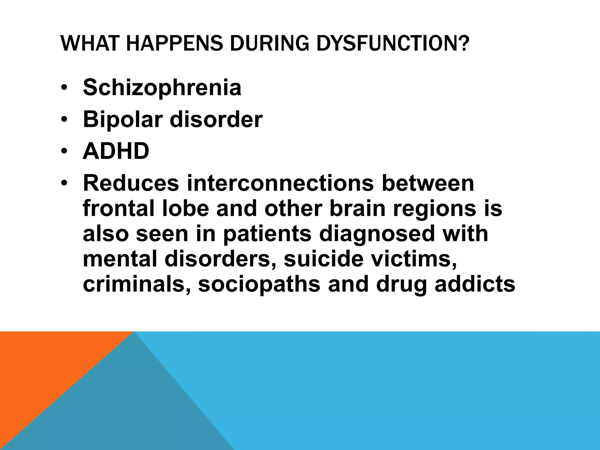 Prefrontal cortex | PPTX