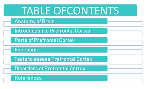 PREFRONTAL CORTEX.pptx | Brain and Nervous System Disorders | Diseases ...