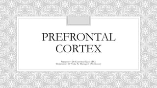 Prefrontal Cortex (2).pptx