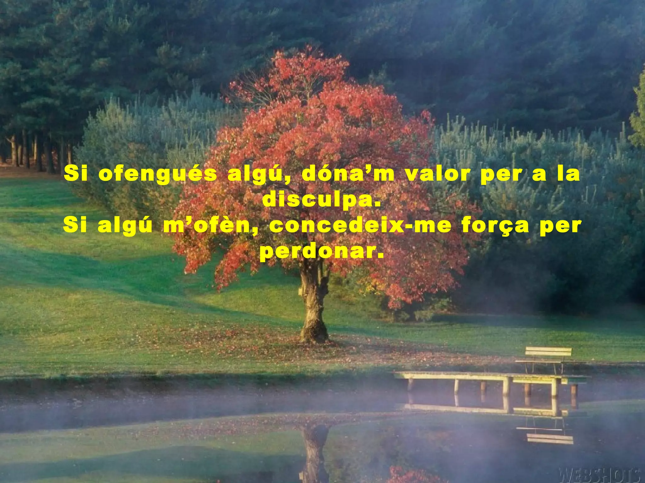 Pregaria De Mahatma Gandhi | PPT