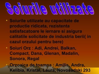 Pregatirea terenului pt orz de toamna | PPT