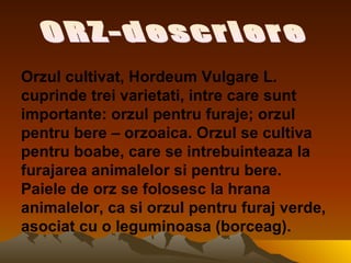 Pregatirea terenului pt orz de toamna | PPT