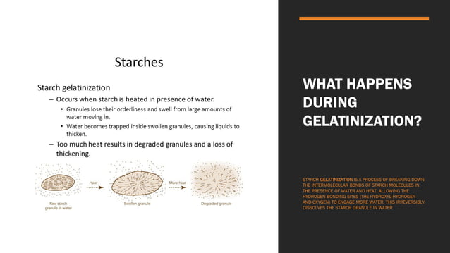Pregelatinized starch | PDF | Chemistry | Science