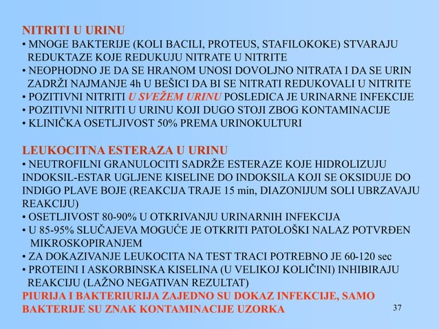 Pregled urina | PPT