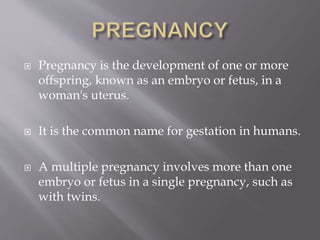Pregnancy | PPTX | Pregnancy | Reproductive Health