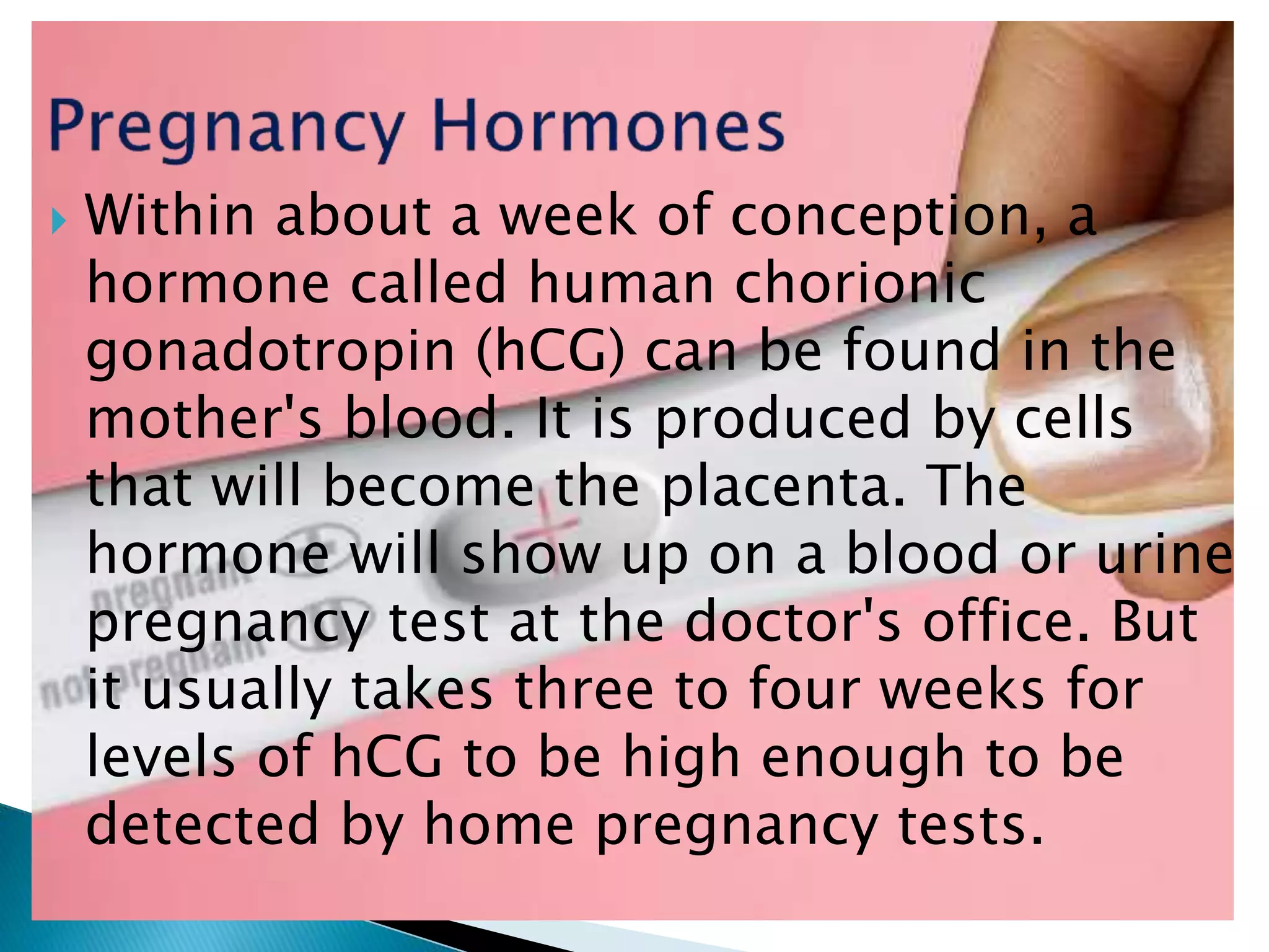 Pregnancy | PPTX