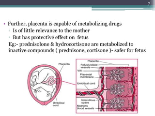 Drug therapy in Pregnancy | PPTX