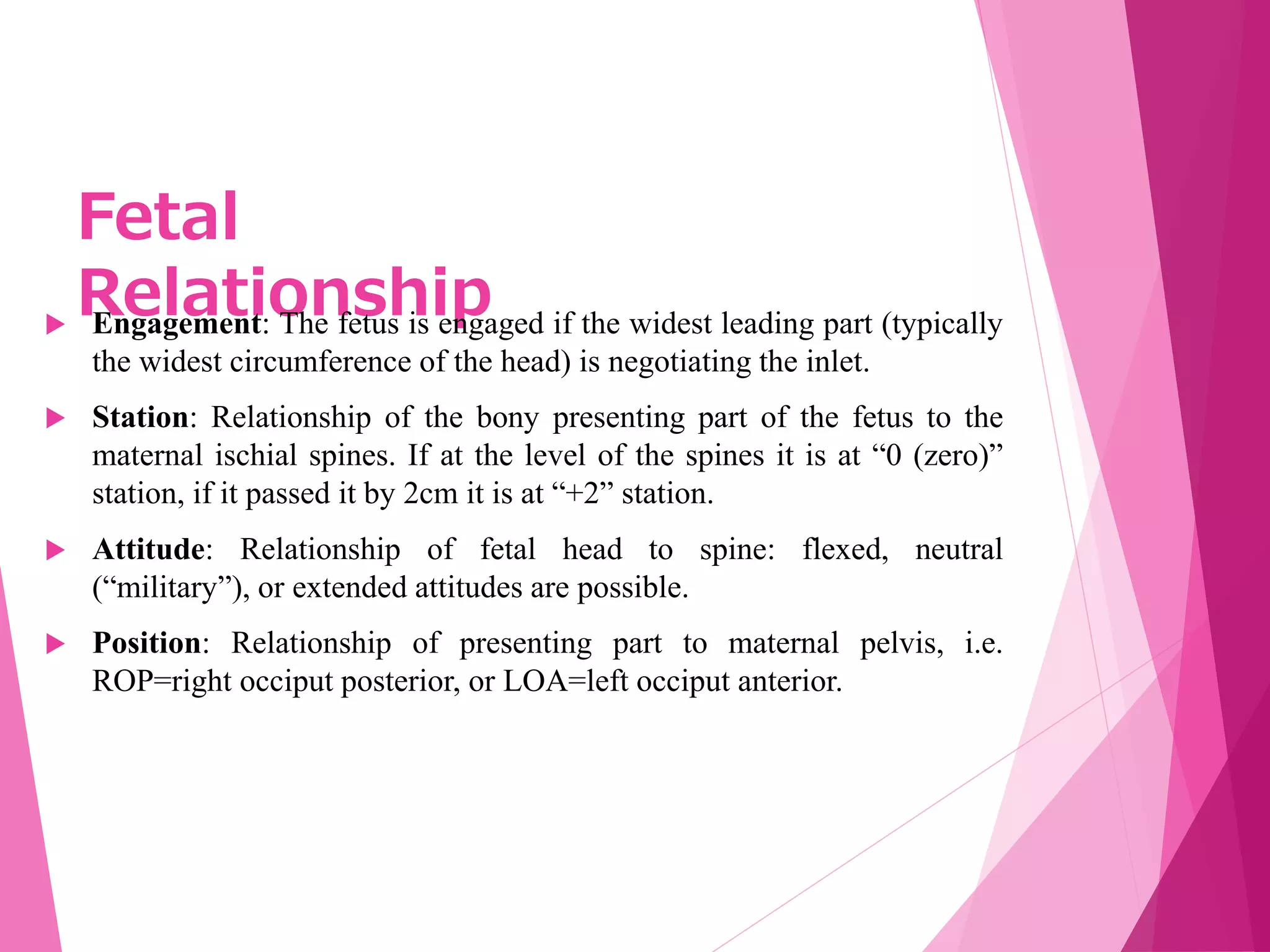 Pregnancy & Different Stages | PPTX