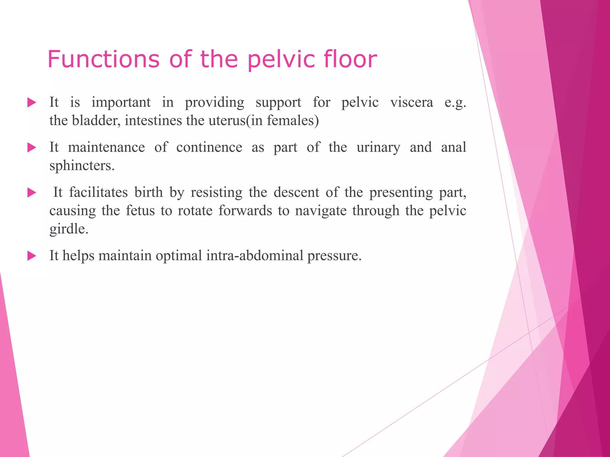 Pregnancy & Different Stages | PPTX